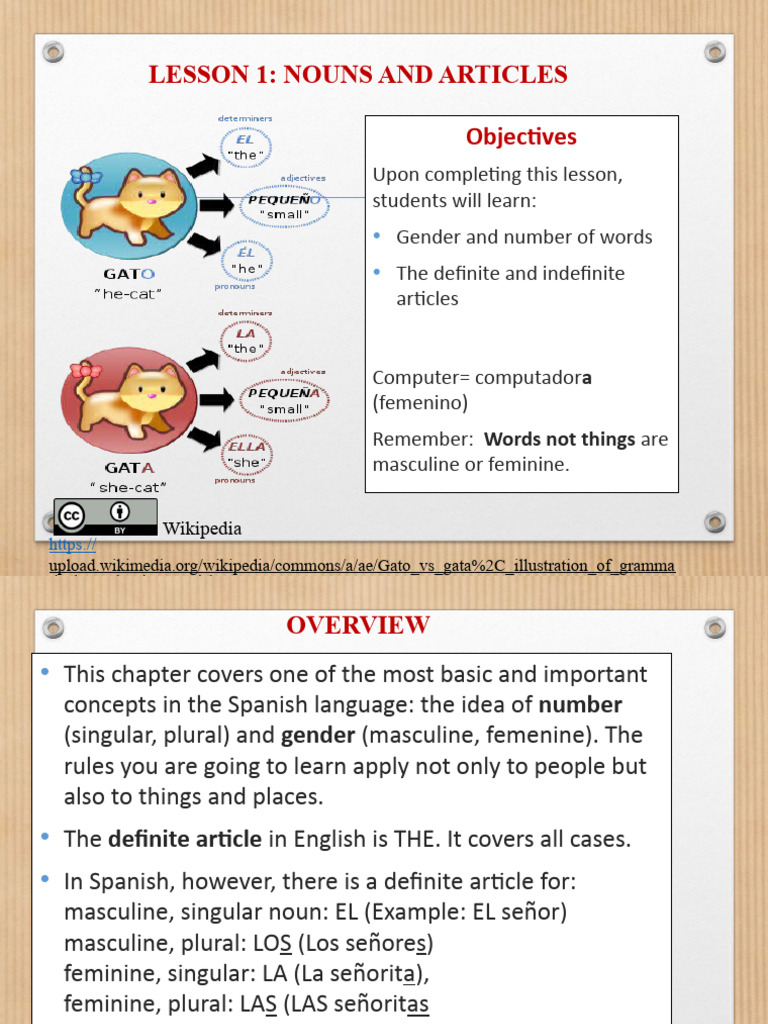 LECCION 1 Articles and Gender | PDF | Grammatical Gender | Noun