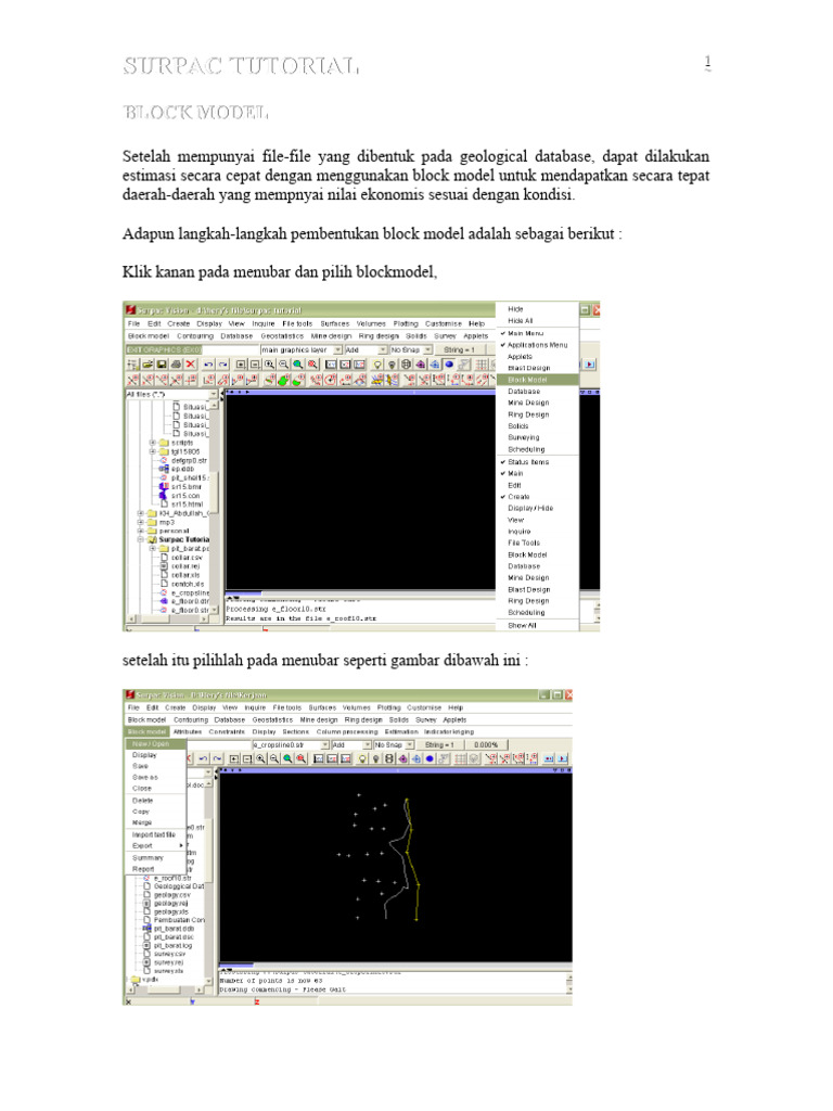SURPAC - Block Model | PDF