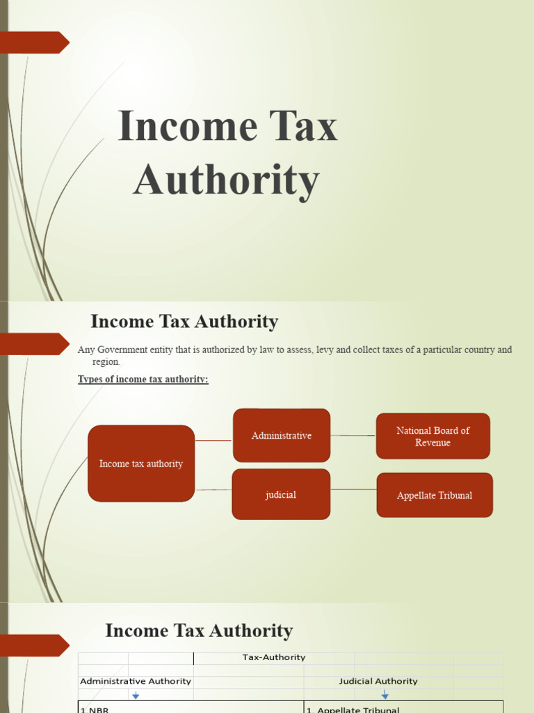 Tax Authority Structure Guide | PDF