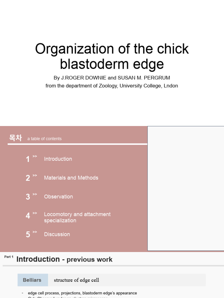 Edge Cell | PDF | Cell (Biology) | Histology