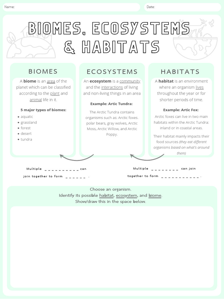 Biomes, Ecosystems and Habitats - Summary | PDF