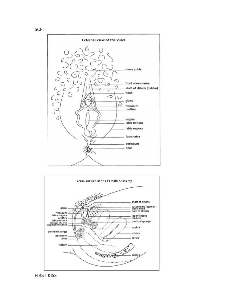 SCF | PDF | Clítoris | Orgasmo