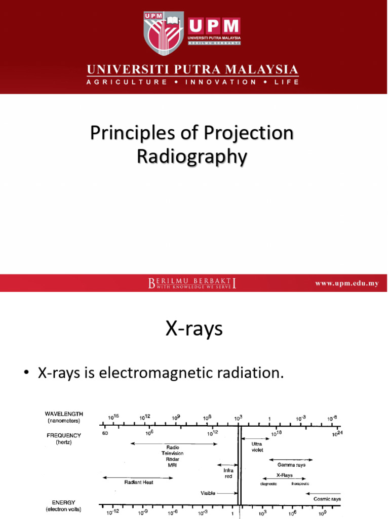 W2-W3 X-Ray Radiography | PDF | Rectifier | X Ray