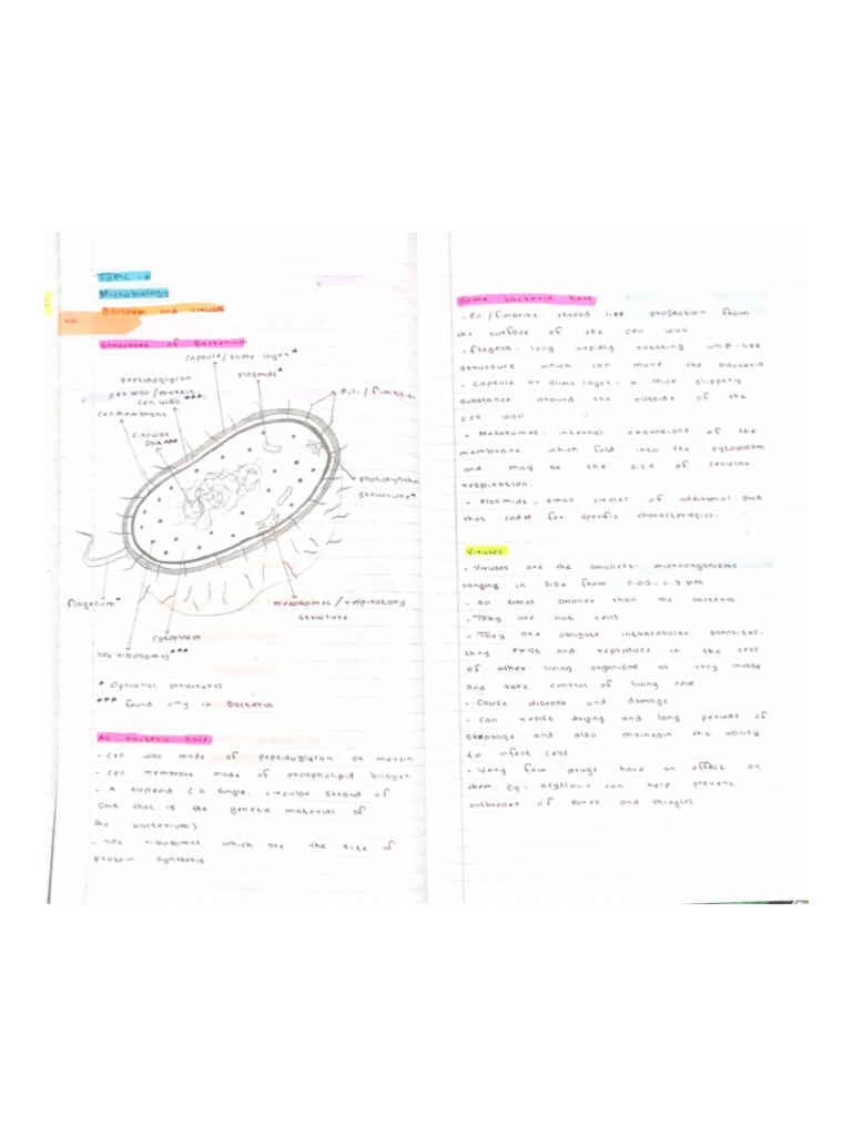 Topic 6A Notes | PDF
