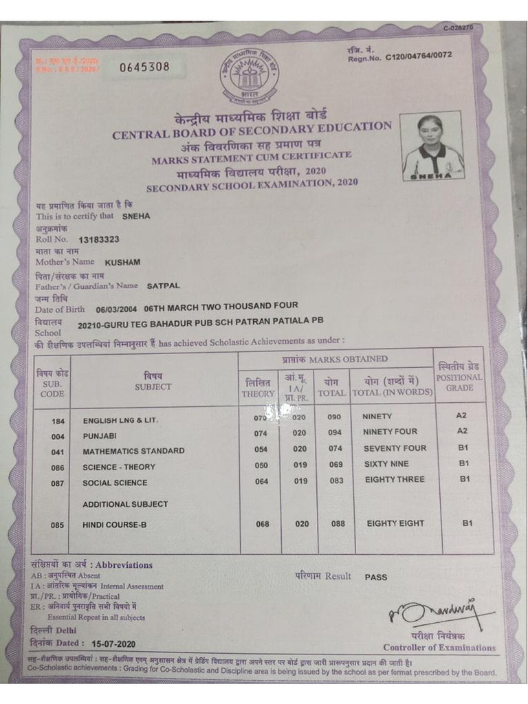 Class 10th Marksheeet | PDF