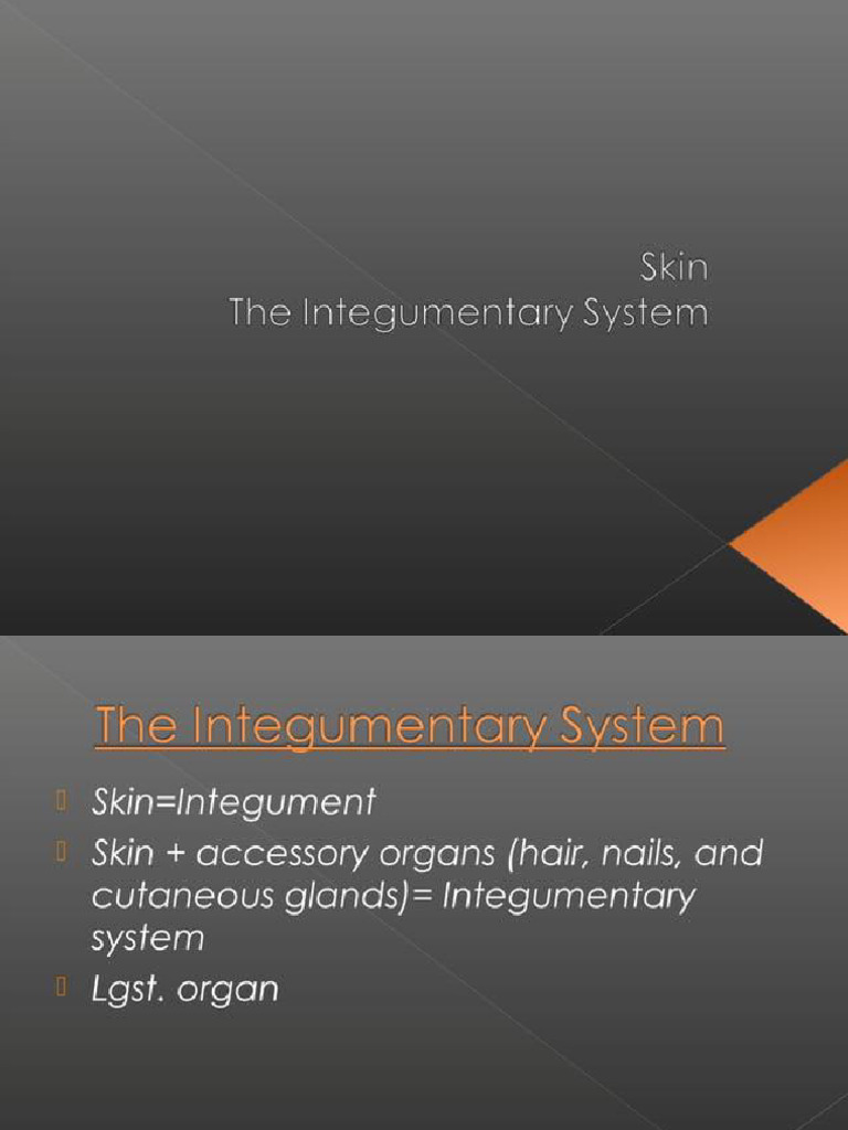 Skin | PDF