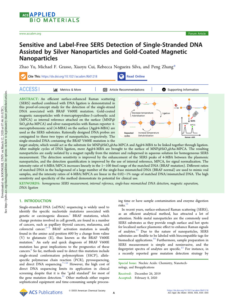 Sensitive and Label-Free SERS Detection of Single-Stranded DNA Assisted by Silver Nanoparticles ...