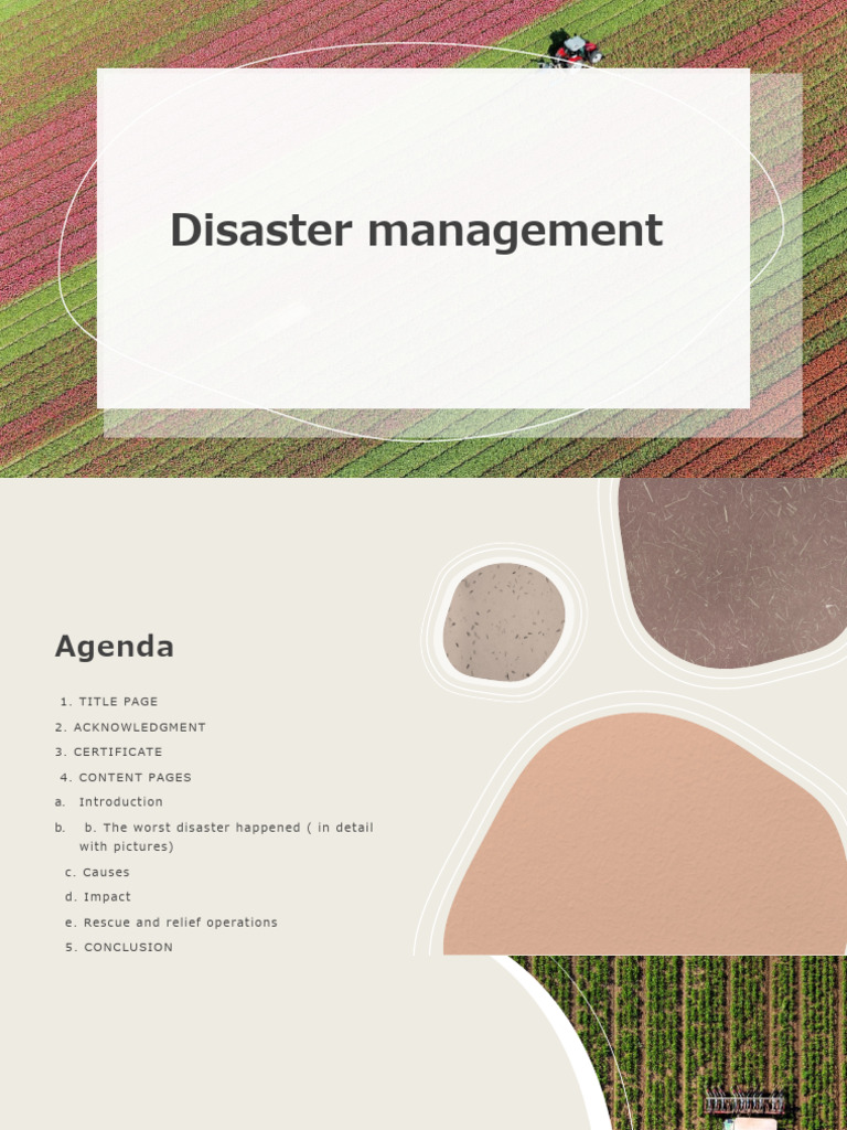 Disaster Management | PDF | Natural Disasters | Emergency Management