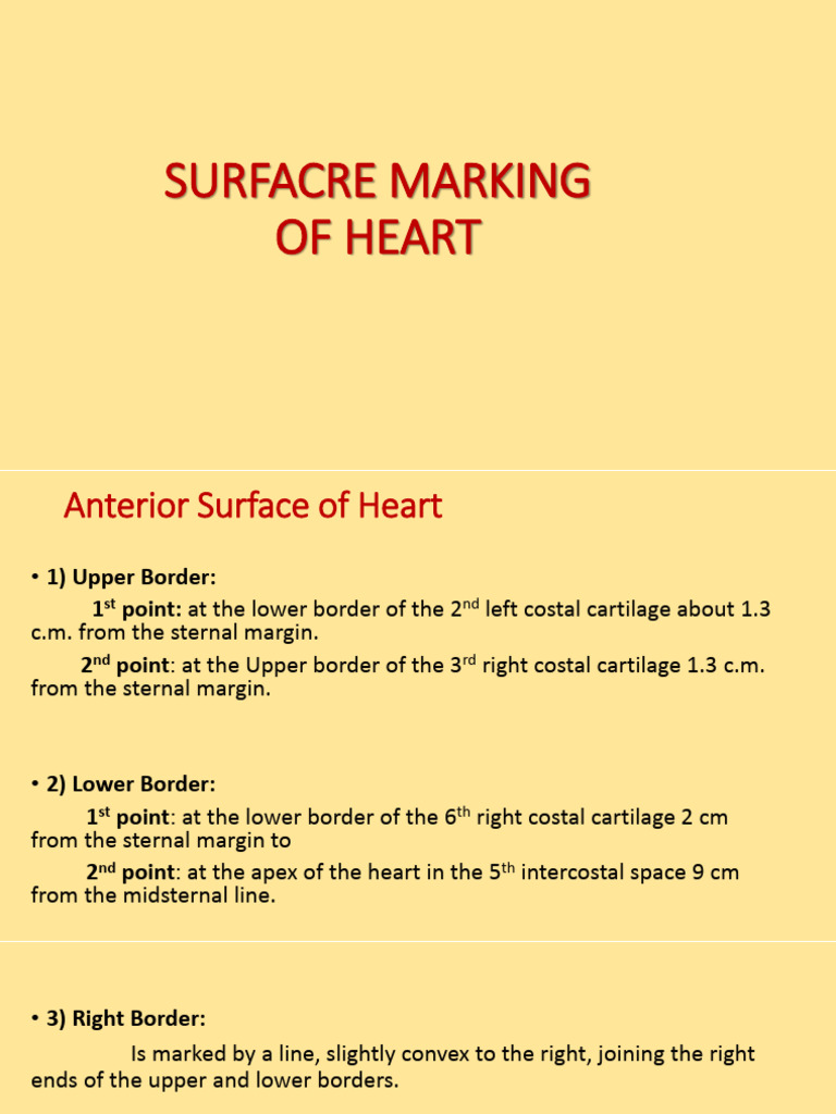 Surface Marking of Heart Anatomy | PDF
