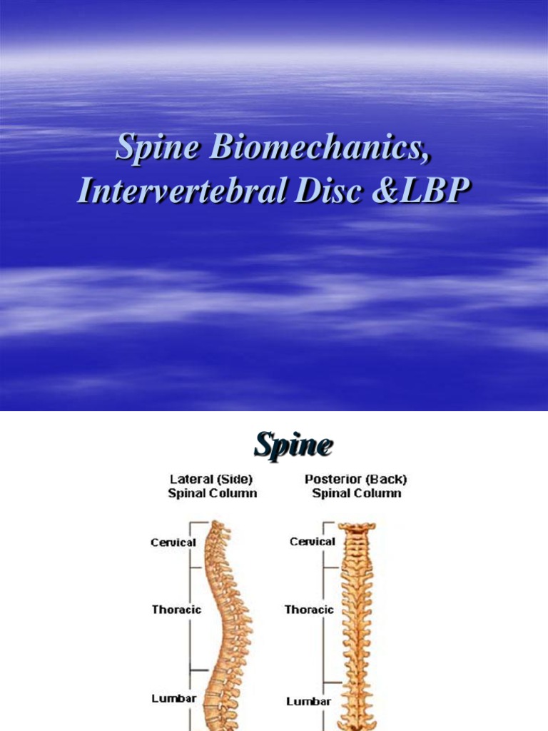 Spine Biomechanics, Intervertebral Disc &LBP | PDF