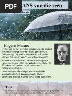 Eks N Dapper Muis | PDF