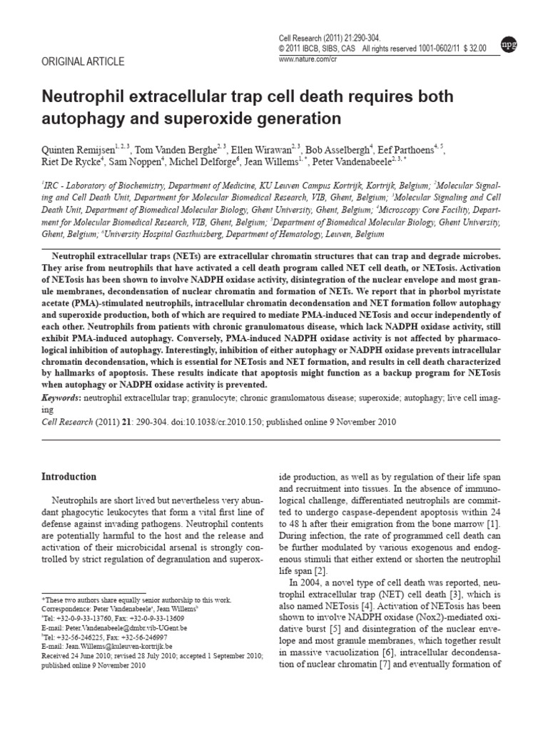 Neutrophil extracellular trap cell death requires both autophagy and superoxide generation | PDF ...