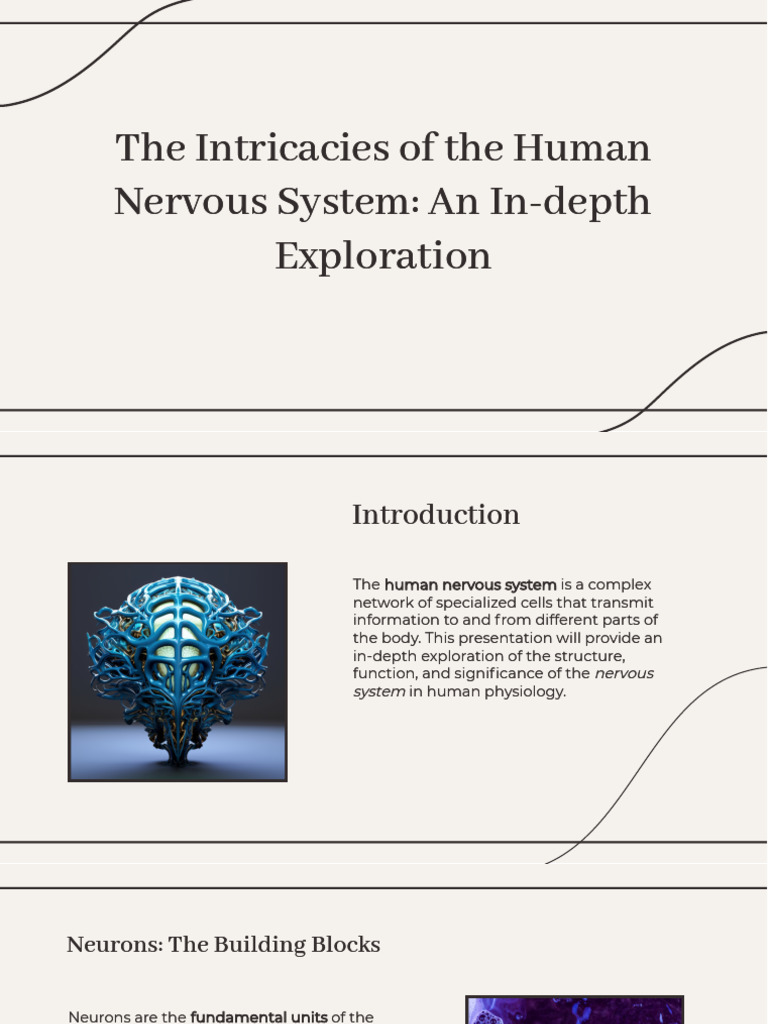 Wepik The Intricacies of The Human Nervous System An in Depth Exploration 20240212095716uumz | PDF