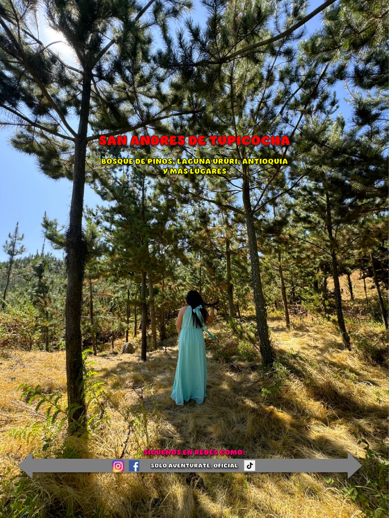 BOSQUE DE PINOS - SAN ANDRES DE TUPICOCHA | PDF