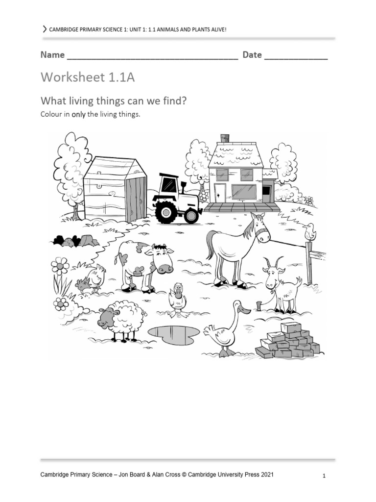 P Science 1 Worksheets Unit 1 | PDF | Plants | Botany