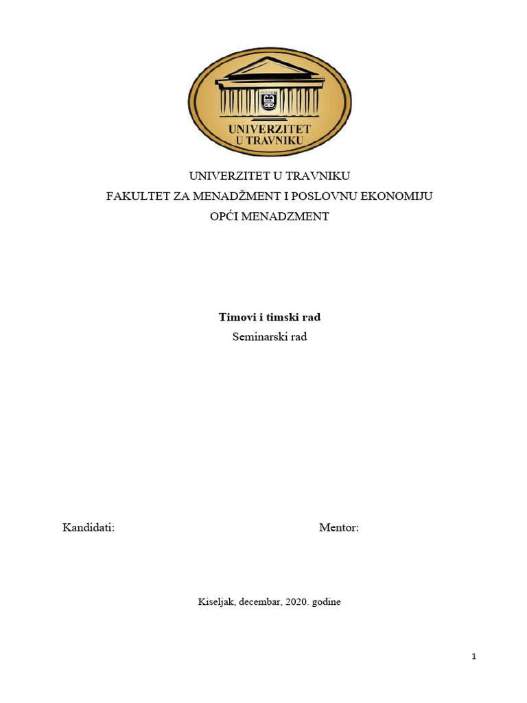 Timovi I Timski Rad 1 | PDF