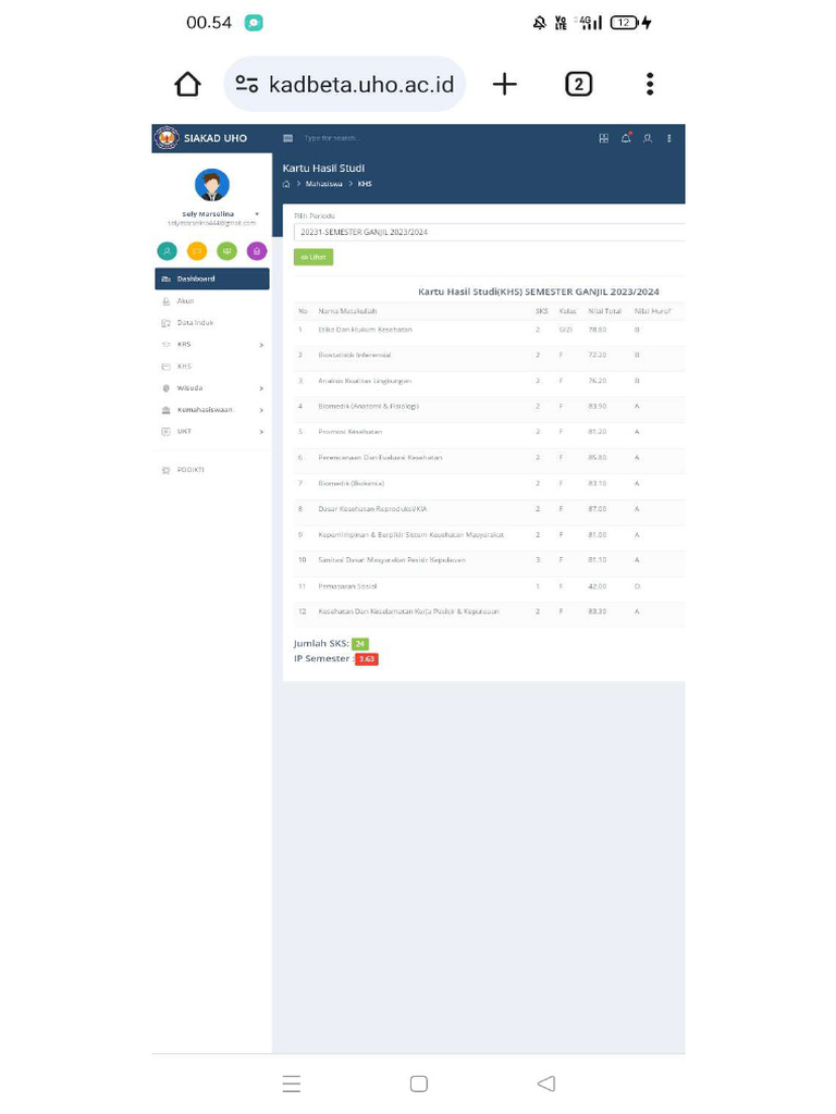 Sely Marselina J1A122299 KHS SEMESTER 3 | PDF