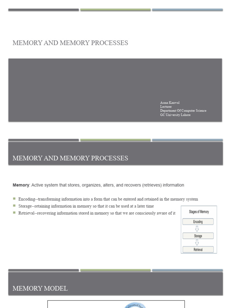 Memory Processes | PDF | Memory | Recall (Memory) Memory Processes | PDF | Memory | Recall (Memory)