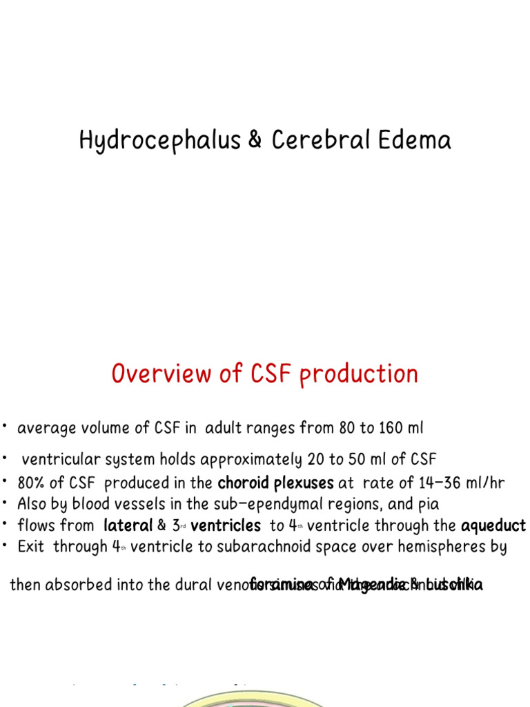 Cerebral Edema, Hydrocephalus & NDD | PDF | Cerebrospinal Fluid | Striatum