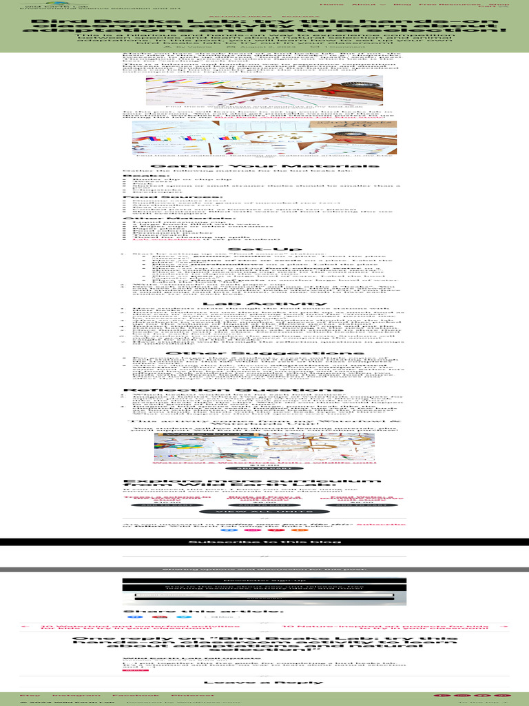 Bird Beaks Lab Activity Guide | PDF | Foods | Beak