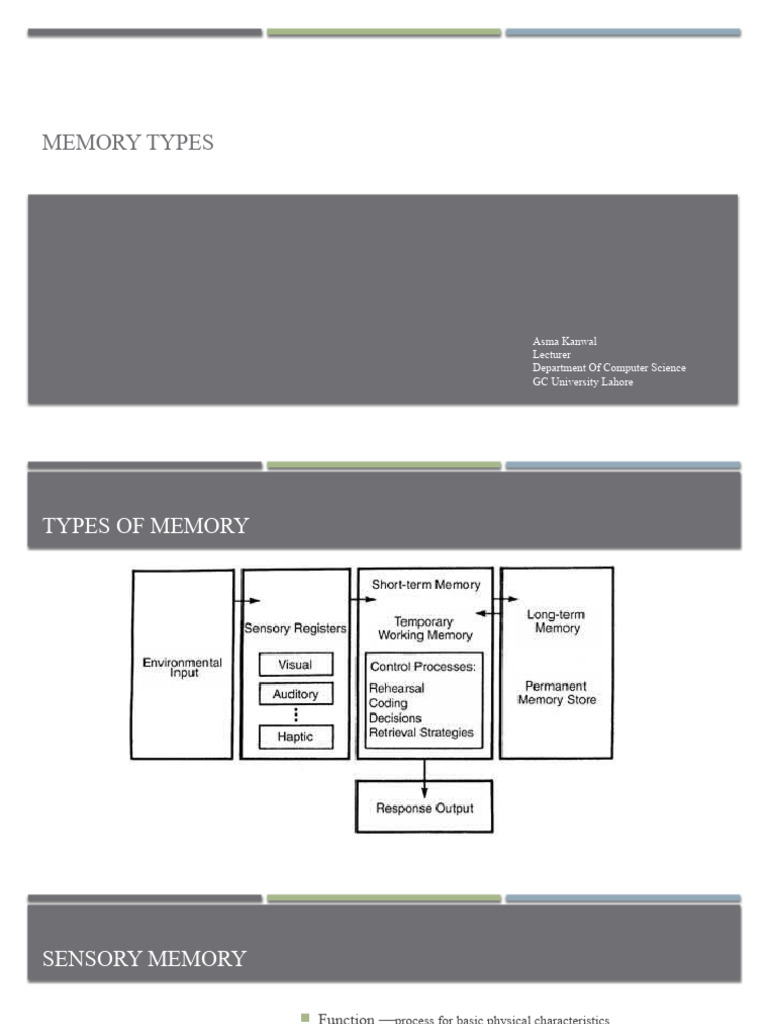 Types of Memory | PDF | Memory | Long Term Memory