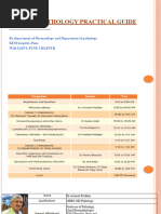 Assessment Tool - Ambulance | PDF | Ambulance