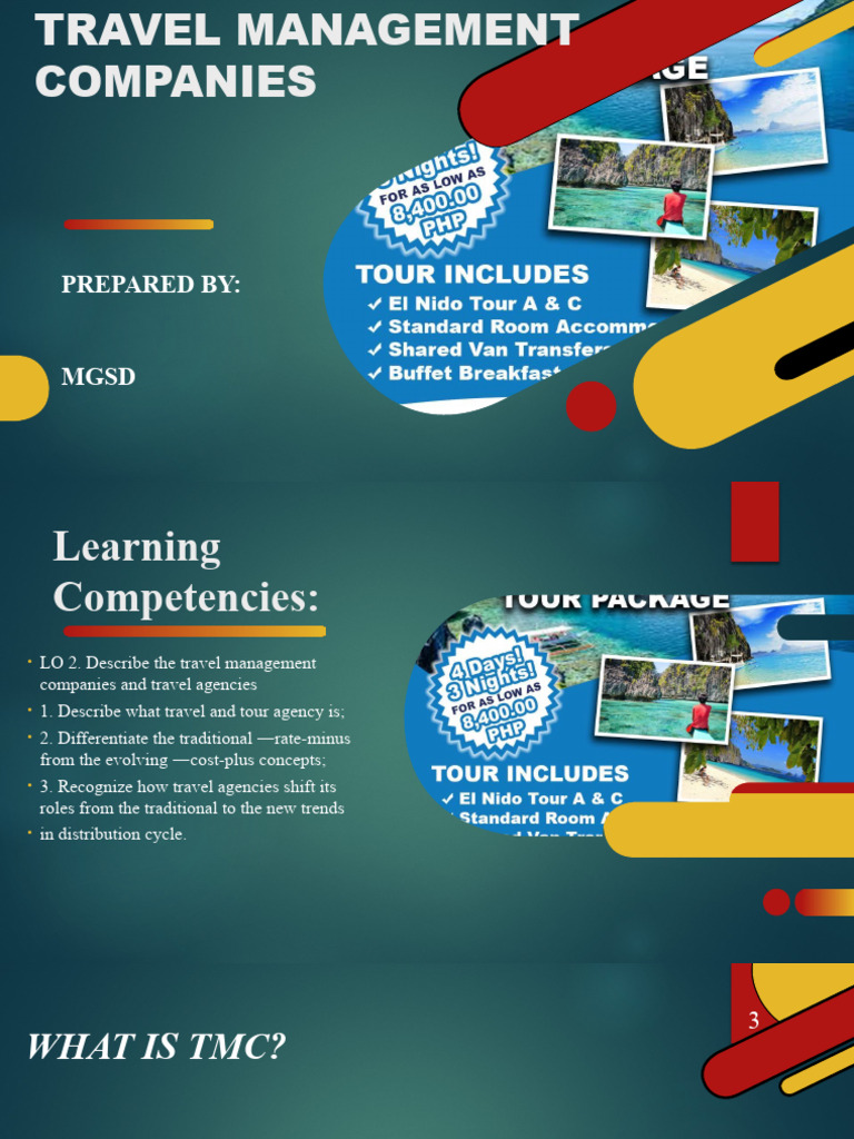 Travel Management Companies Overview | PDF | Travel Visa | Passport