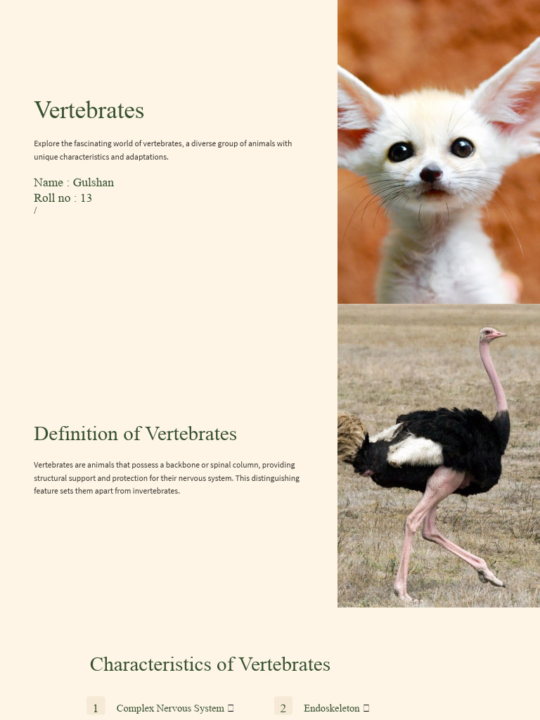 Vertebrates | PDF | Vertebrates | Mammals