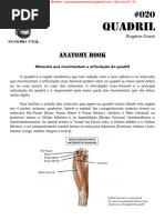 Musculos Quadril Tabela | PDF | Quadril | Anatomia dos membros inferiores