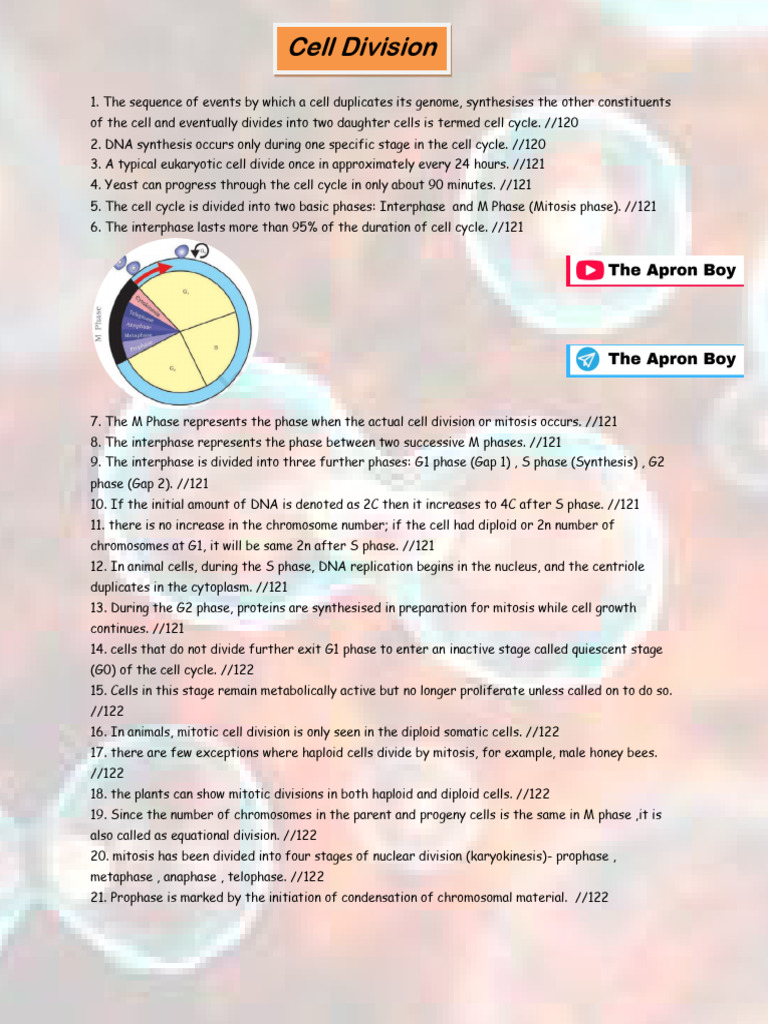 Cell Division Imp | PDF | Meiosis | Mitosis