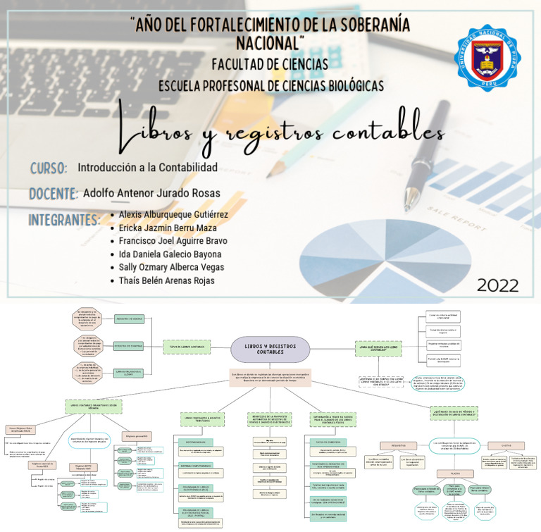 Mapa Conceptual-libros y Registros Contables | PDF | Contabilidad | Economias