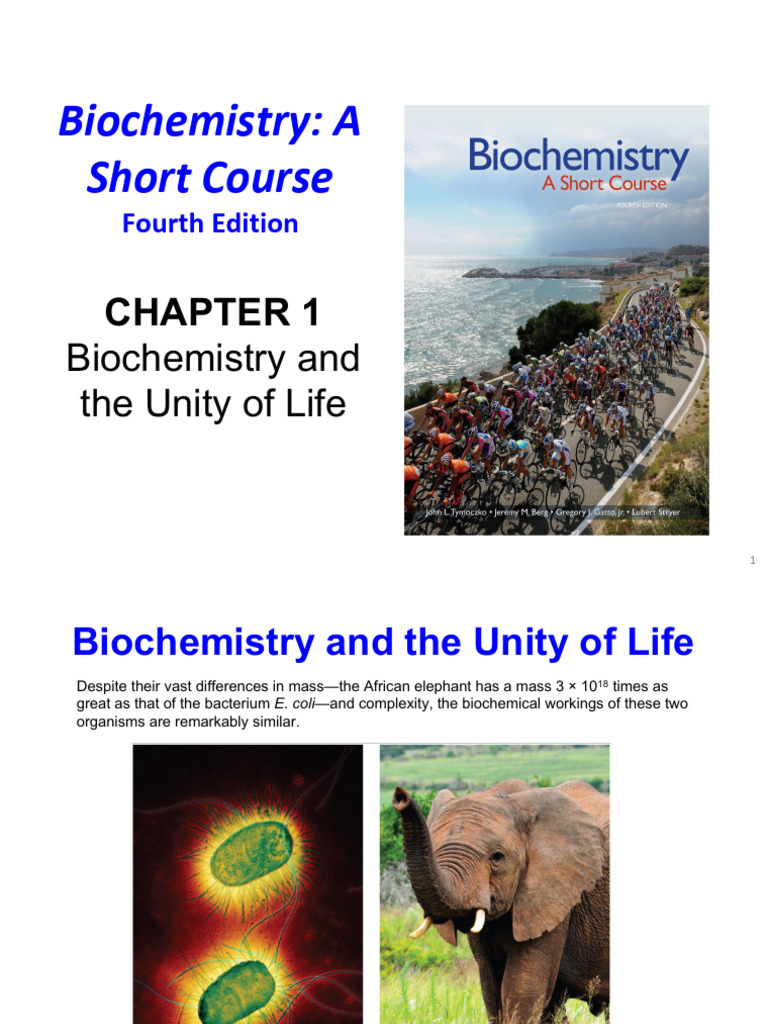 Chapter01 Overview | PDF | Biochemistry | Chemistry