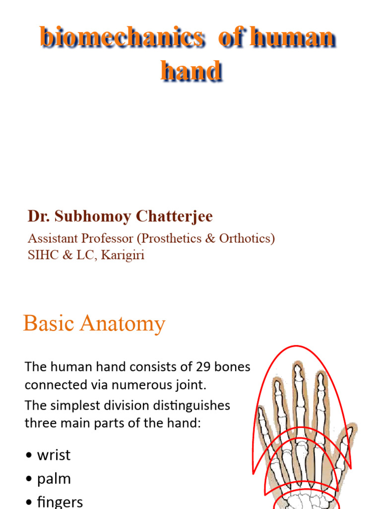 Biomechanics of Hand | PDF | Hand | Thumb