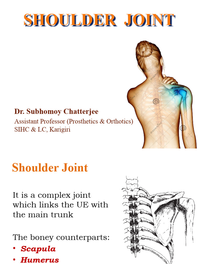 Shoulder Biomechanics Overview | PDF | Shoulder | Anatomy