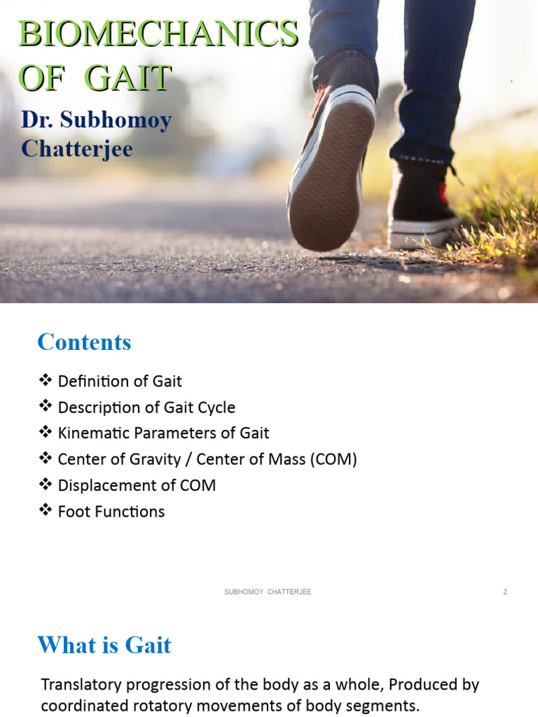 Biomechanics of Gait Explained | PDF | Terrestrial Locomotion ...