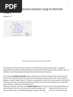 Pressure Volume Notes | PDF | Diastole | Ventricle (Heart)