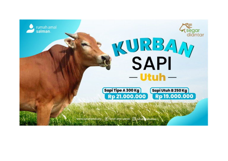 Buku Sapi 3 | PDF
