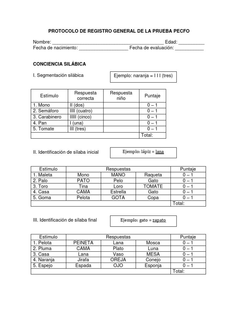 Registro General de La Prueba Pecfo | PDF