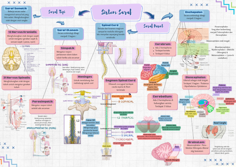 NEURO FIX MIND MAP | PDF