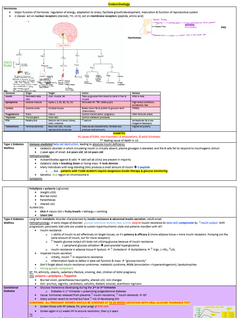 Endocrine Review Final | PDF | Adrenal Gland | Insulin Resistance