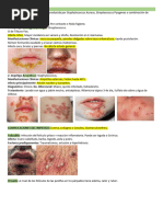 Guía Completa sobre Piodermitis | PDF | Septicemia | Enfermedades y ...