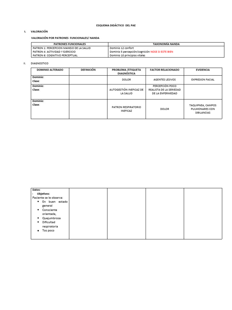 ESQUEMA DIDACTICO DEL PAE | PDF | Enfermedades y trastornos | Medicina CLINICA