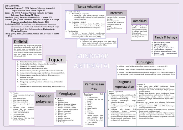 Mind Map Antenatal | PDF