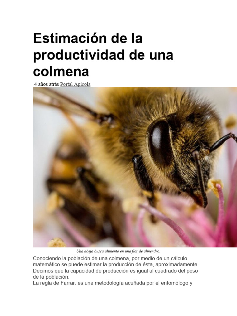 Estimación de la productividad de una colmena | PDF | Apicultura | Colmena