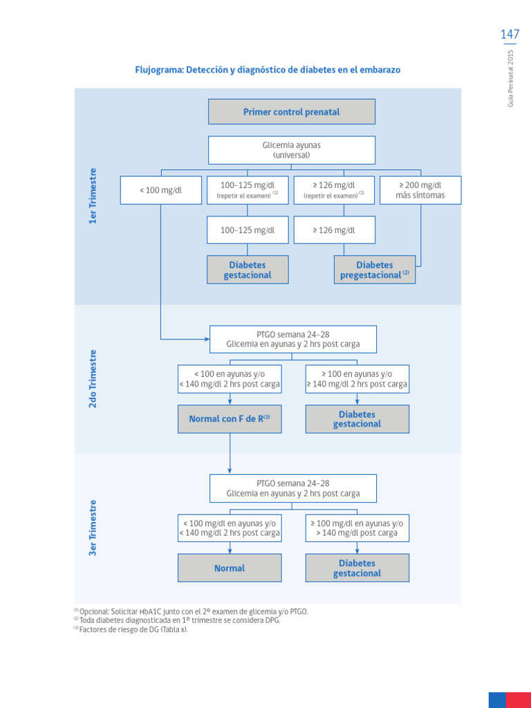 Algoritmo MINSAL diabetes | Descargar gratis PDF | Diabetes | Epidemiología