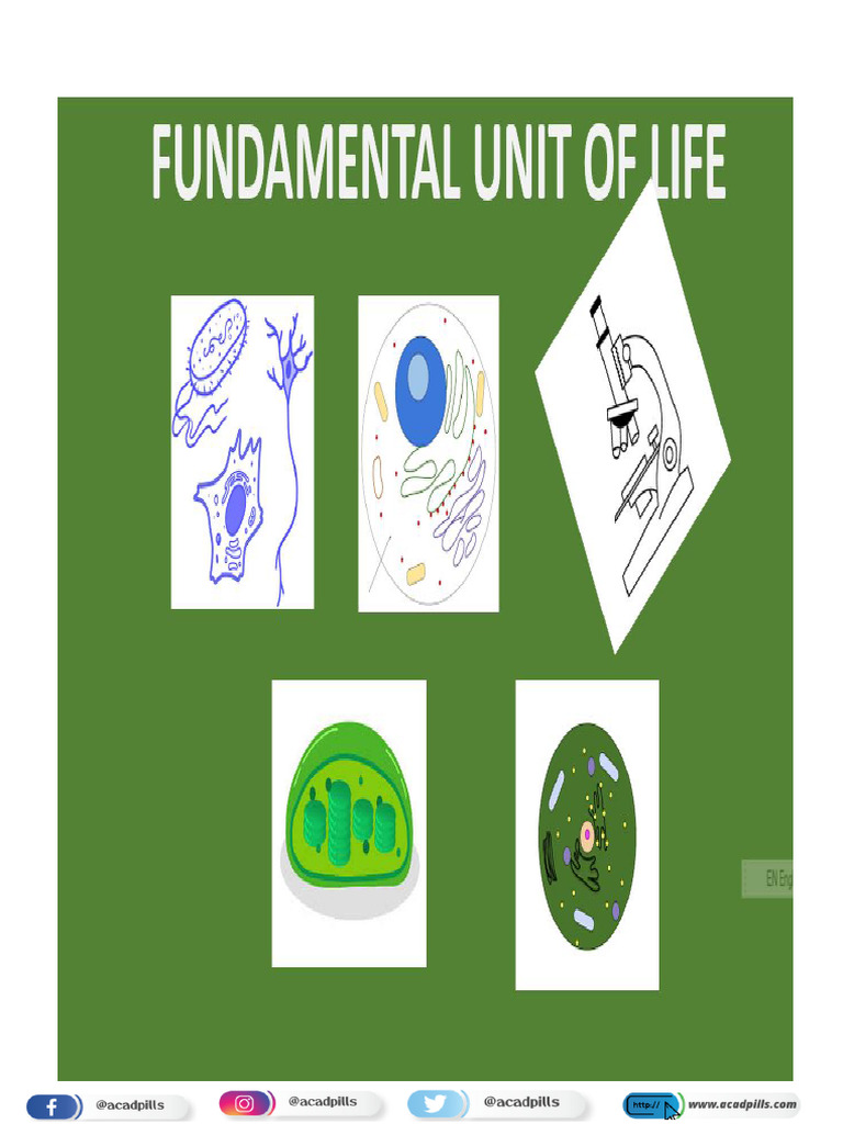 Fundamental Unit of Life: Cells | PDF | Cell (Biology) | Endoplasmic ...