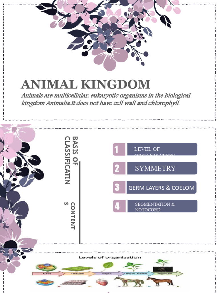 Bio Animal Kingdom | PDF | Zoology | Anatomy