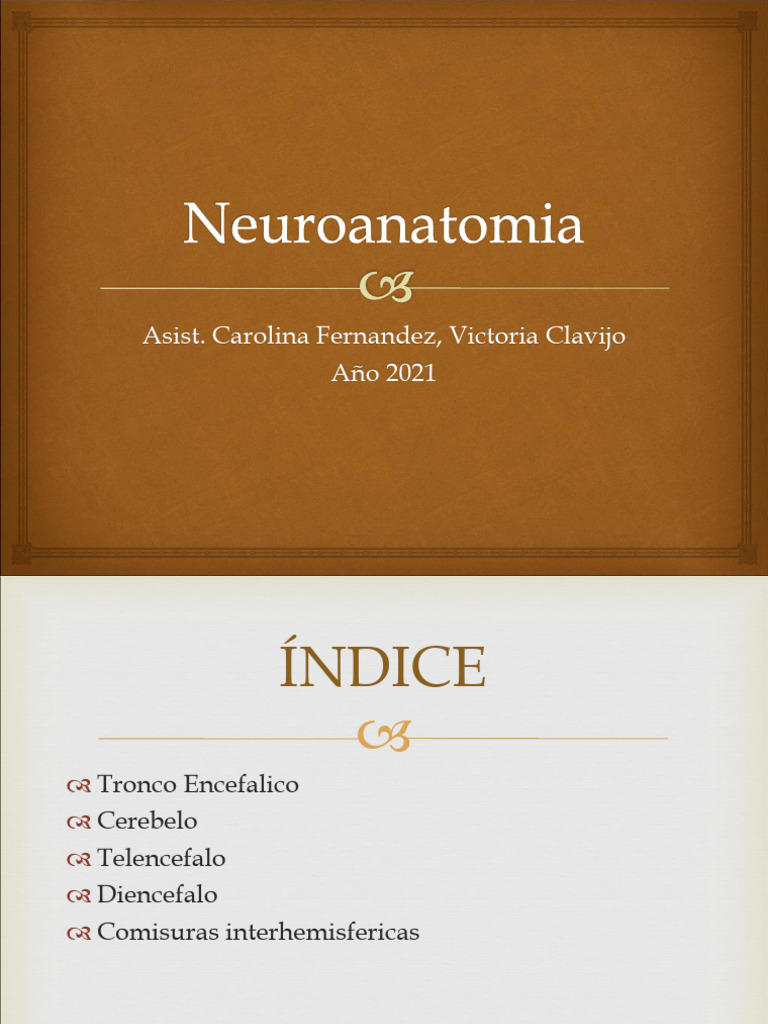 T Elen Cefalo | PDF | Cerebelo | Cerebro