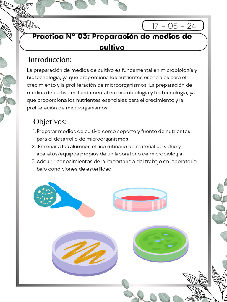 Preparación de Medios de Cultivo | PDF | Microbiología | Biología