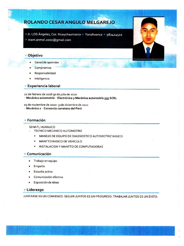 CV Rolando César Angulo M | PDF